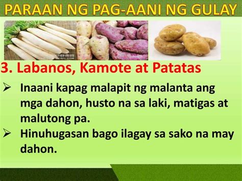 Q2 Epp Kahalagahan Sa Pag Aani Ng Halaman Pptx
