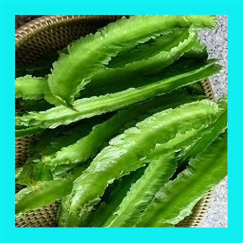 Bean Winged Climber Heritage Organic Open Pollinated Seeds