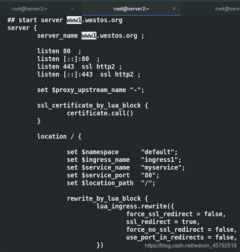 kubernetes集群实战——ingress服务部署、会话保持和tls配置 li barroco的博客 csdn博客 ingress 会话保持