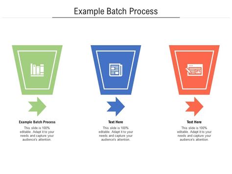 Example Batch Process Ppt Powerpoint Presentation Slides Outline Cpb