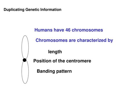 Cell Reproduction And Inheritance Ppt Download