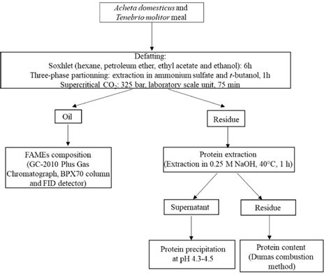 General Scheme Of Experimental Procedure Download Scientific Diagram