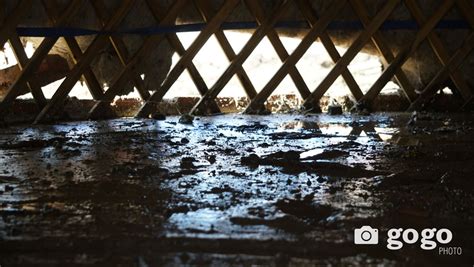 Үерт автсан гудамж талбайг халдваргүйжүүлнэ айл өрхийг ариутгахгүй гэжээ