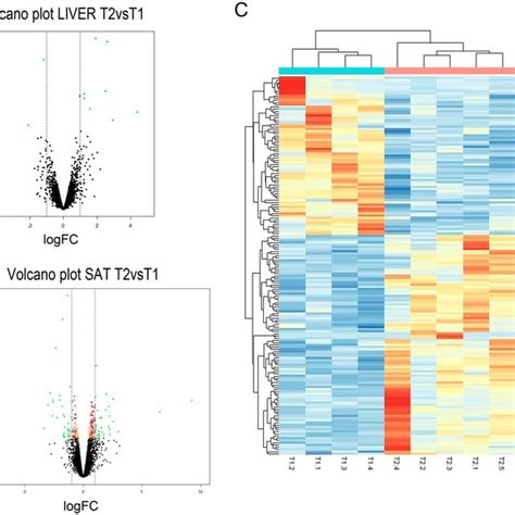 Functional Categorization Of Differentially Expressed De Genes In