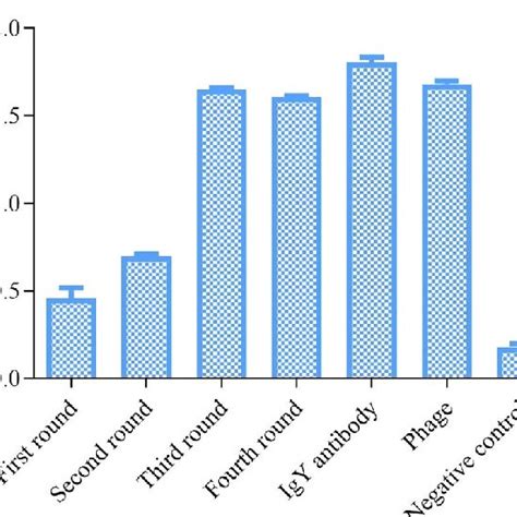 Phage ELISA Notes Samples From Round Phage In Each Of Rounds Download Scientific