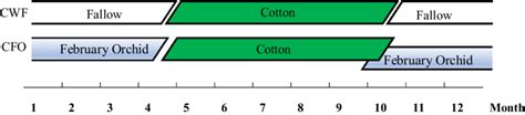 Temporal Distribution Of Cotton And Cover Crops In The Two Cropping Download Scientific Diagram