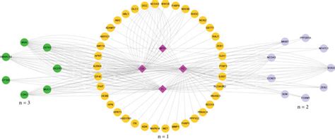 Drug Disease Target Network Construction A Compound And OC Target Download Scientific