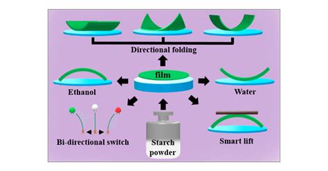 Multivapor Responsive Controlled Actuation Of Starch Based Soft