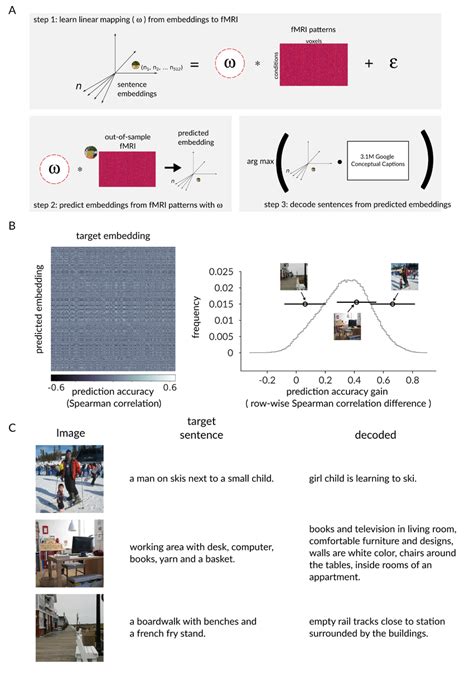 Whole Brain Fmri Brain Reading A Simple Linear Nearest Neighbour Download Scientific Diagram