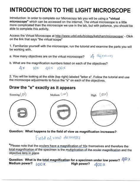 Bio 233 Lab 2 Bio 233 Lab For Bristol Community College Bio 233