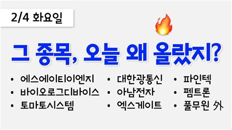 오늘 상한가 급등 종목과 이유 에스에이티이엔지 바이오로그디바이스 대한광통신 토마토시스템 파인텍 펨트론 아남전자 엑스게이트 풀무원 Youtube