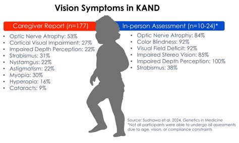Vision In Kand Kif1a