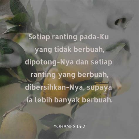 Yohanes 15:2-12 Setiap ranting pada-Ku yang tidak berbuah, dipotong-Nya dan setiap ranting yang ...