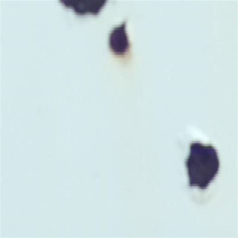 Rust Detection 1 Object Detection Dataset By Corrosion Detection