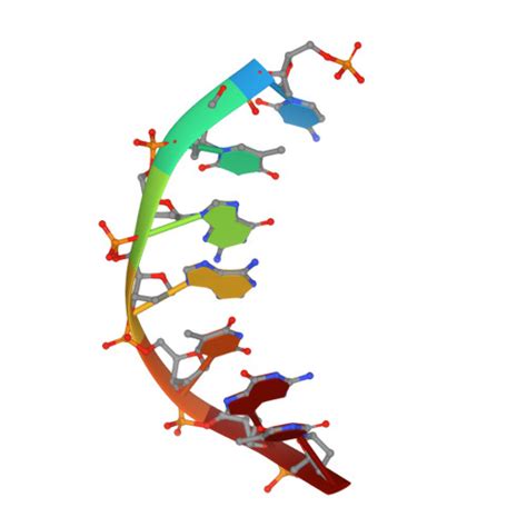 Rcsb Pdb 7slb Tagt Ph 85 Metal Mediated Dna Base Pair In