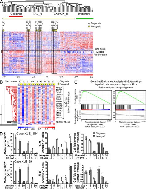 Figure 4 From Clonal Selection In Xenografted Human T Cell Acute Lymphoblastic Leukemia