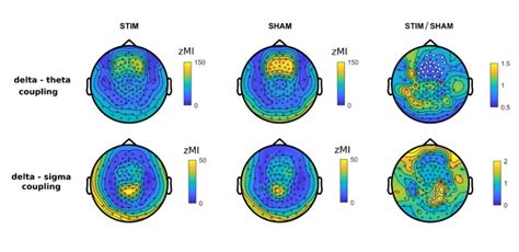 Topographical Distribution Of Coupling Strength Download Scientific