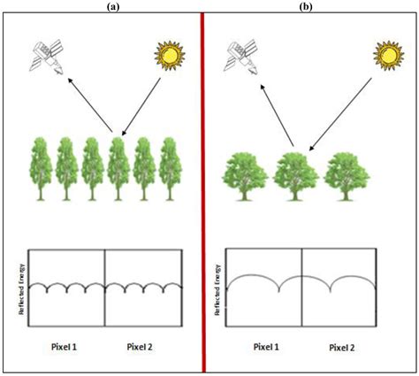 Remote Sensing Free Full Text Effects Of Spatial And Spectral