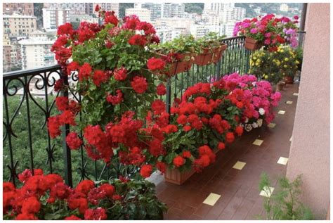 Пин от пользователя fay Hannides на доске Rooftops and balconies ...