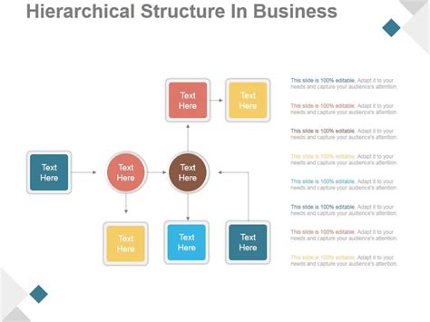 hierarchical structure in business ppt powerpoint presentation outline