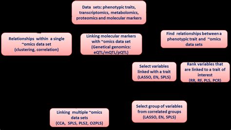 Diagram Of The Objectives Given Different Omics Data Sets Marker Data Download Scientific