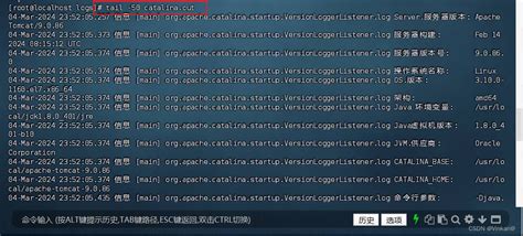 验证tomcat进程是否启动成功 ps ef grep tomcat csdn博客