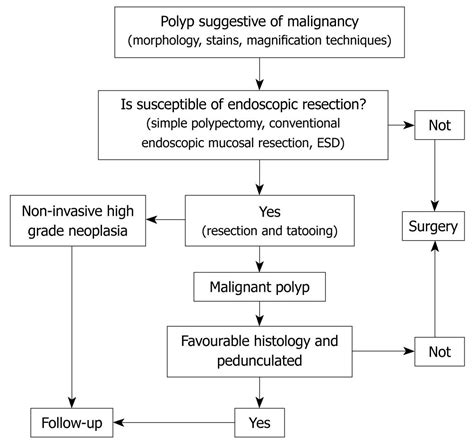 Malignant Colorectal Polyps
