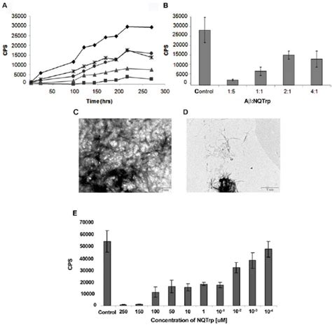 Inhibition Of A B Fibril Formation In Vitro A Dose Dependent