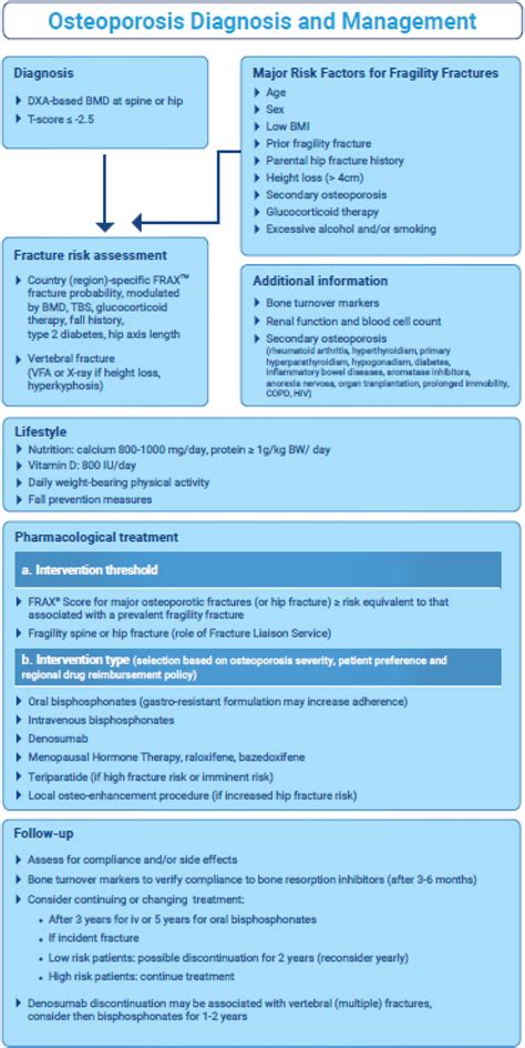 Algorithm For The Diagnosis And Management Of Osteoporosis In