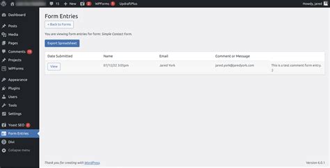 WPF Entry Capture York Computer Solutions LLC