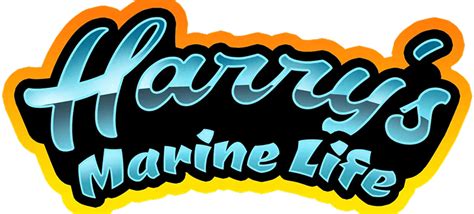 Hml Rainbow Glitter Zoa Harrys Marine Life