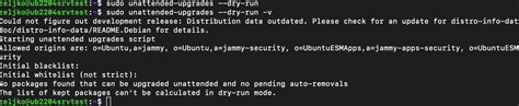 How To Enable And Disable Automatic Updates On Ubuntu IT Blog