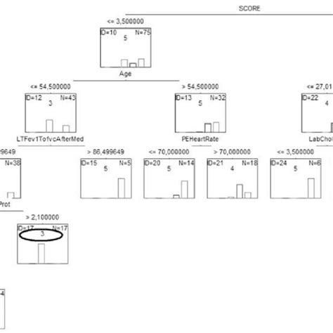 Fragment Of The Classification Tree Download Scientific Diagram