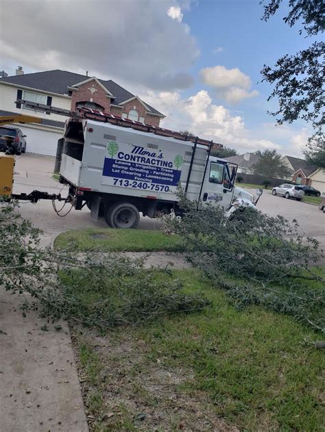 The Best Tree Trimming Services In Houston TX