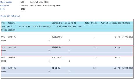 Searching For The Storage Section In Sap Wm Sap Training And Coaching
