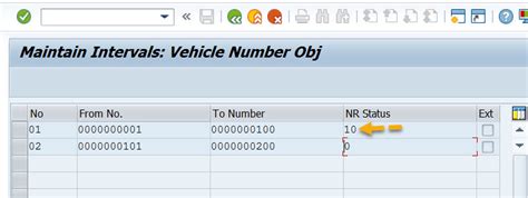 Number Range Object 2 Sapcodes