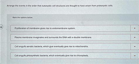 Solved Arrange The Events In The Order That Eukaryotic Cell Structures Are Thought To Have