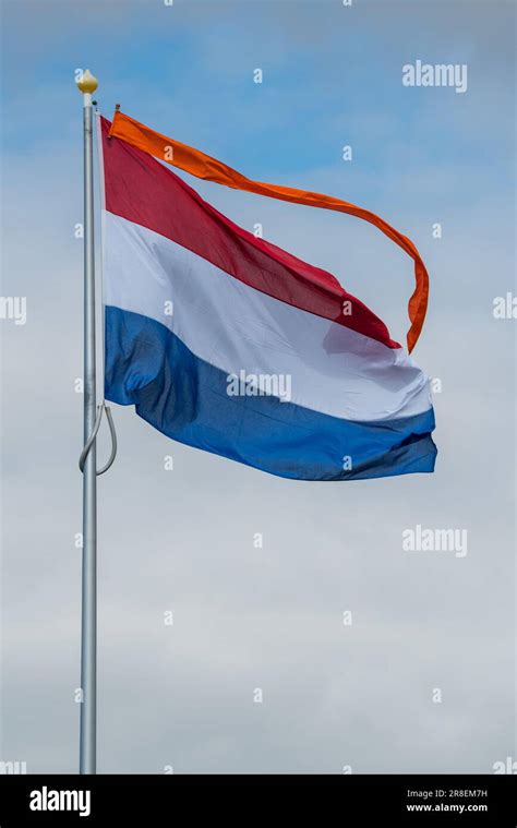 Netherlands Flag Orange