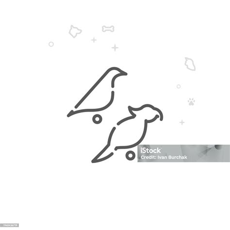 앵무새와 카나리아 벡터 라인 아이콘 기호 그림 기호입니다 빛 추상적인 기하학적 배경입니다 편집 가능한 스트로크 카나리아에 대한 스톡 벡터 아트 및 기타 이미지 Istock