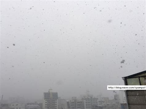 펑펑 눈이 옵니다 하늘에서 눈이 옵니다~♬ 네이버 블로그