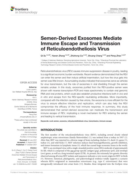 Pdf Semen Derived Exosomes Mediate Immune Escape And Transmission Of
