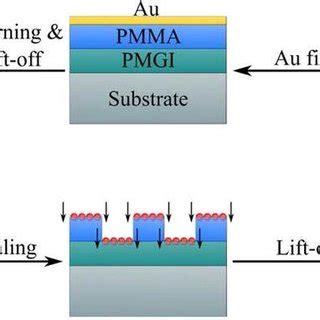 Schematic Presentation Of The Protocol For The Formation Of NP Arrays Download Scientific