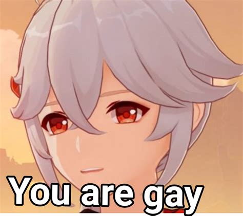 You Are Gay Genshin Impact HoYoLAB