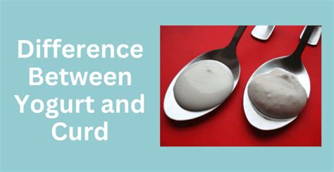 Difference Between Yogurt And Curd Explained By Experts Livofy