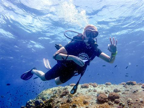 Diving Trip Bodega Hostels