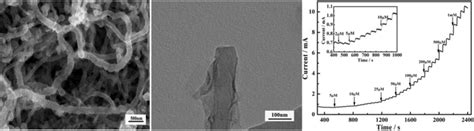 Nickel‐foam‐supported Co3o4 Nanosheetsppy Nanowire Heterostructure For Non‐enzymatic Glucose