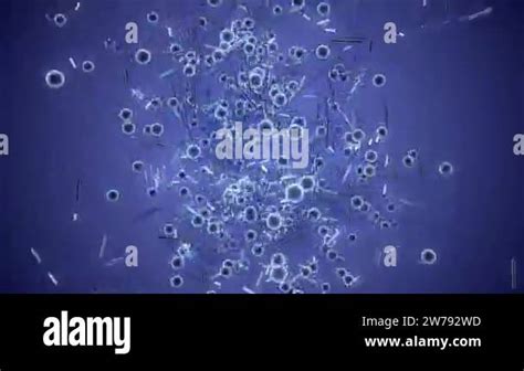 3d Animation Of A Set Of Particles That Combine Into A Molecule Of