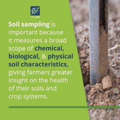 Soil Sampling Understanding Its Importance Methods Locus AG