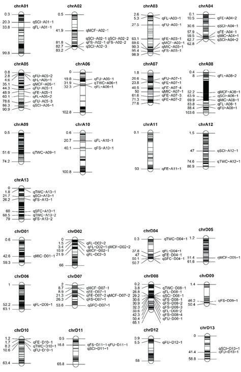 Distribution Map Of Qtls For Fiber Quality Traits On Chromosomes