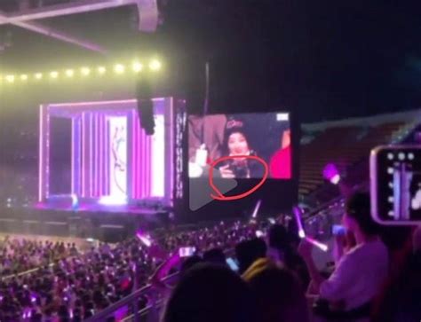 赵丽颖现身闺蜜张碧晨演唱会 戴应援帽拿单反化身最美站姐新浪图片